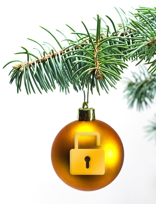 7 Tips de seguridad personal para la época navideña